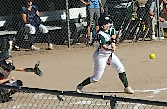 Lady Panthers Experiencing Up and Down Season On the Softball Diamond ...