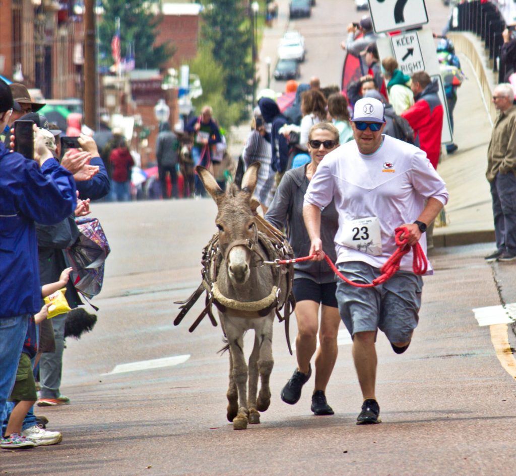 Tired of the heat? Chill out with the Donkeys in Cripple Creek ...